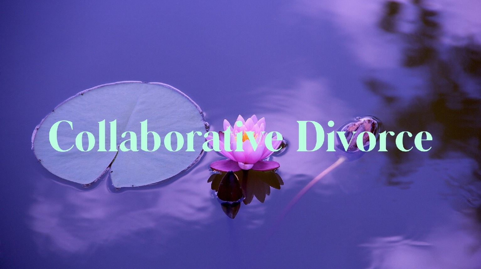 Collaborative Divorce: An Unbundled Legal Service - Family Diplomacy ...